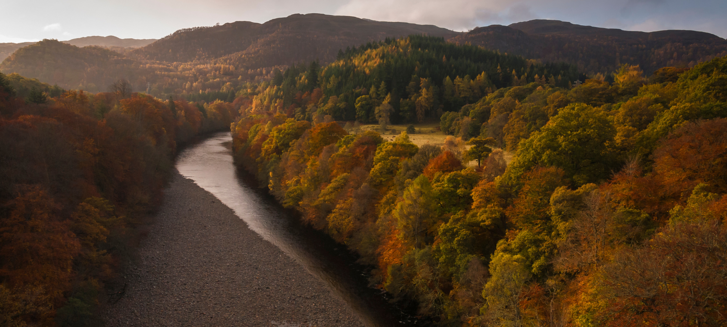 The Essentia Foundation - A Journey across Scotland | Foundation Scotland